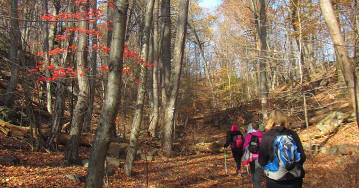 Stratford-upon-Avon. B Walk (BOOKING ESSENTIAL) - Ramblers